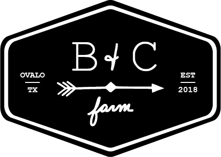 Pasture Raised Chicken – B&C Farm